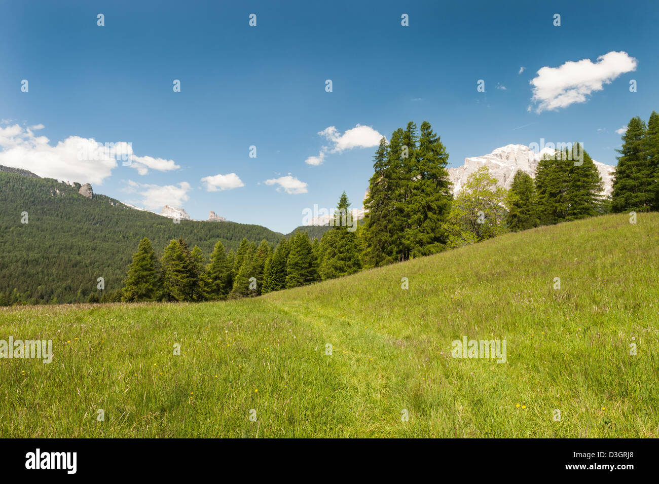 Meadow landscapes hi-res stock photography and images - Alamy