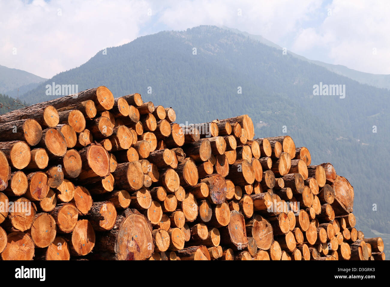 Lumber in the mountains of Italy. Stacked wood in Dolomites Stock Photo ...