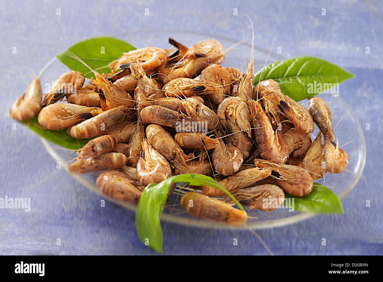 Shrimp feed hi-res stock photography and images - Alamy