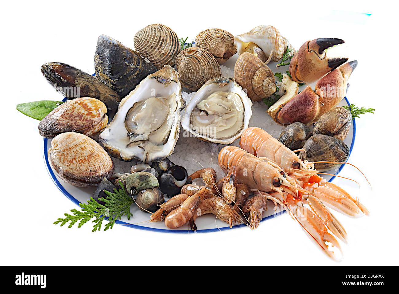 Oyster bay seafood Cut Out Stock Images & Pictures - Alamy