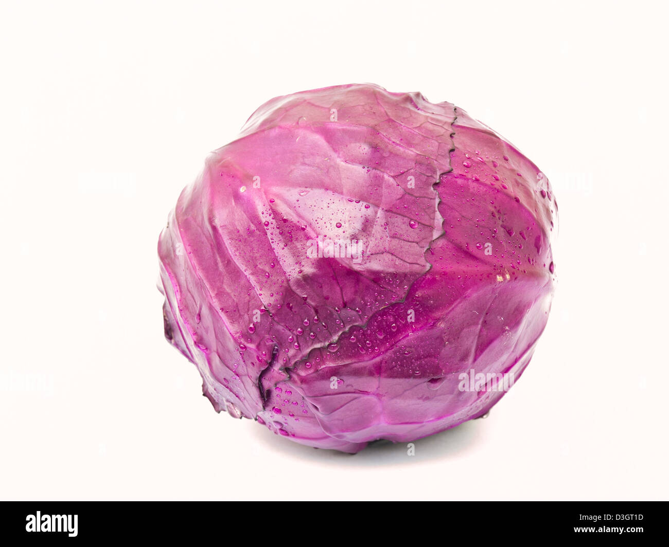 Red cabbage head isolated on white background Stock Photo - Alamy