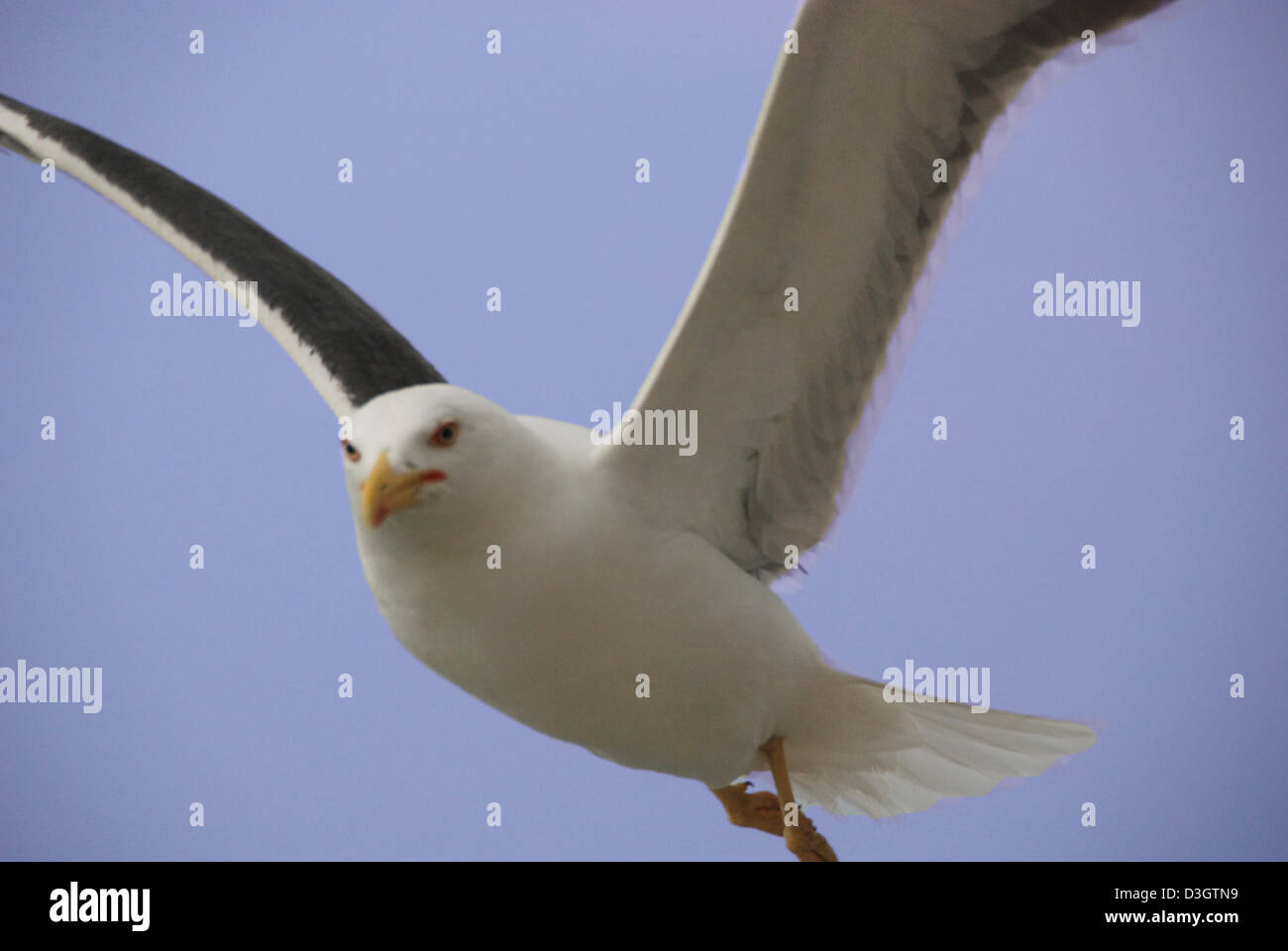 Gele lucht hi-res stock photography and images - Alamy