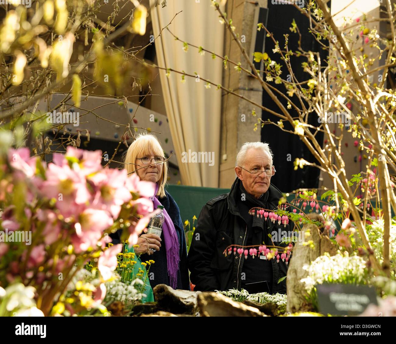 Revised design hi-res stock photography and images - Alamy