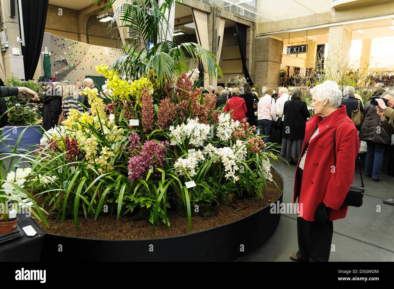 Spring flower displays at the RHS London Plant and Design Show 2013 on ...