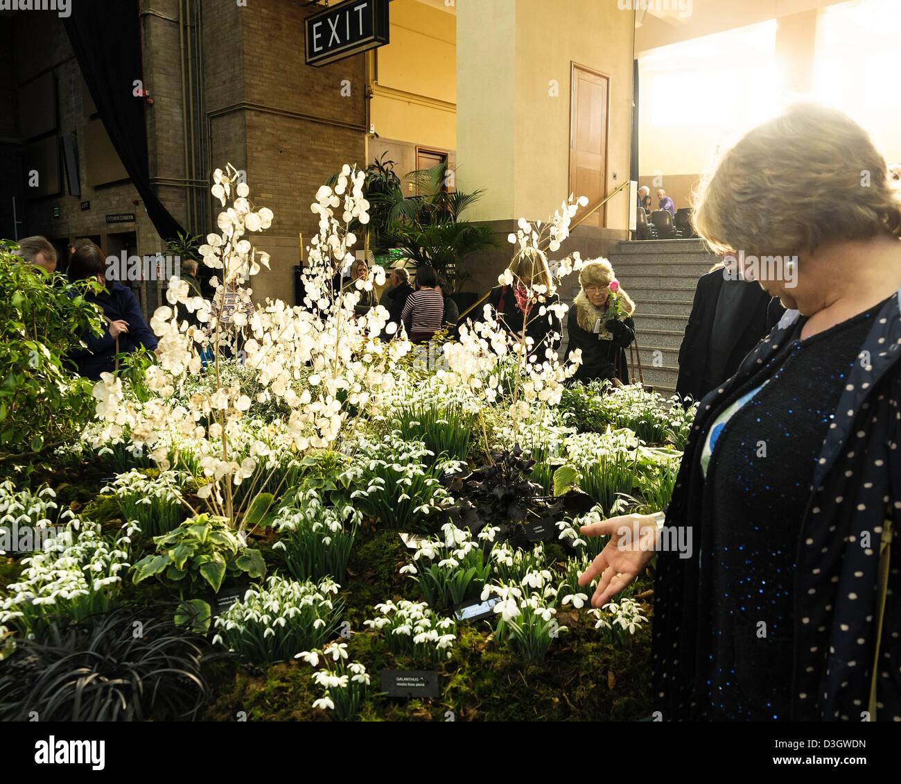 Gold Medal winning Spring flower display at the RHS London Plant and ...