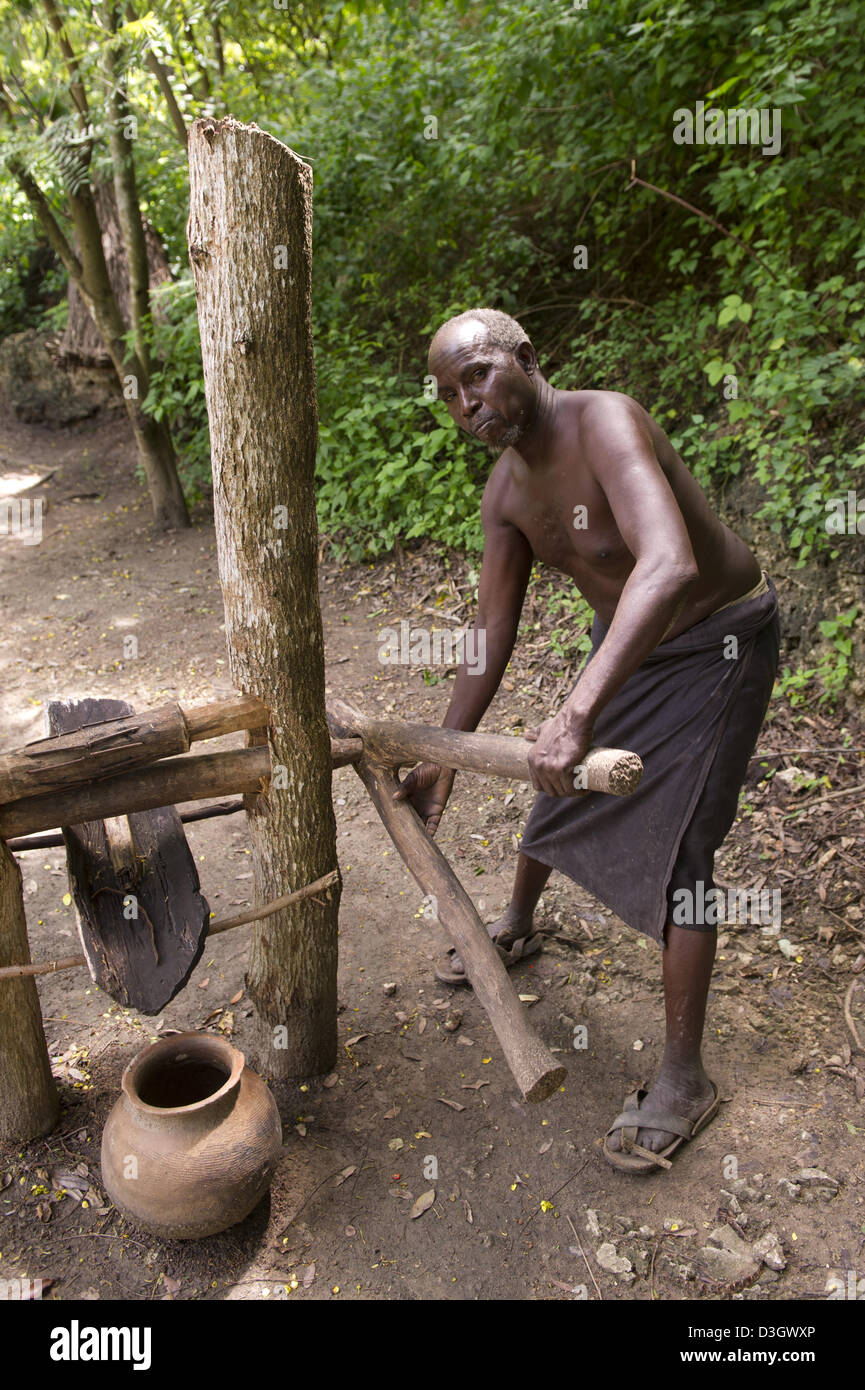 Akamba man pressing sugercane for juice, Ngomongo Village, Kenya Stock ...