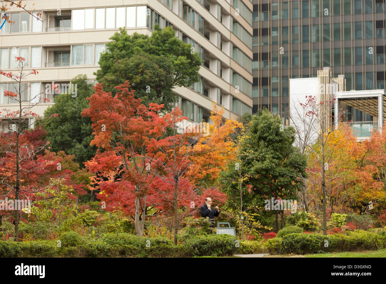 Autumn colors in Tokyo urban park, Japan Stock Photo - Alamy