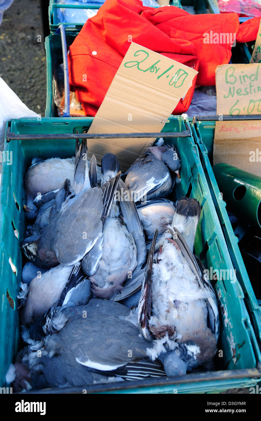 Pigeon market hi-res stock photography and images - Alamy