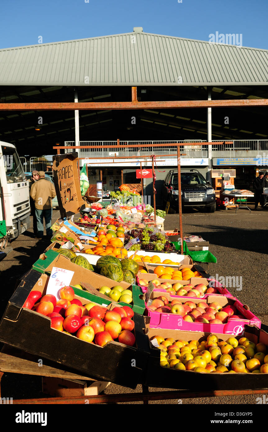 Cattle fruit hi-res stock photography and images - Alamy