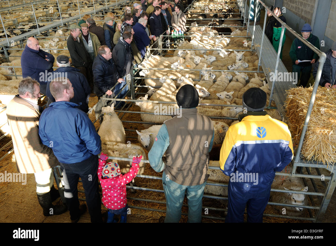 Melton Mowbray Cattle Market,Leicestershire England Stock Photo - Alamy