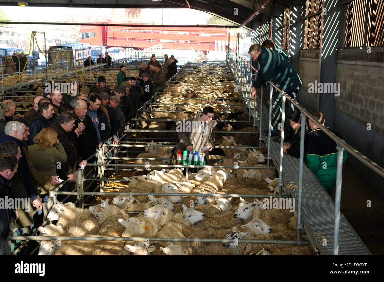 Melton Mowbray Cattle Market,Leicestershire England Stock Photo - Alamy