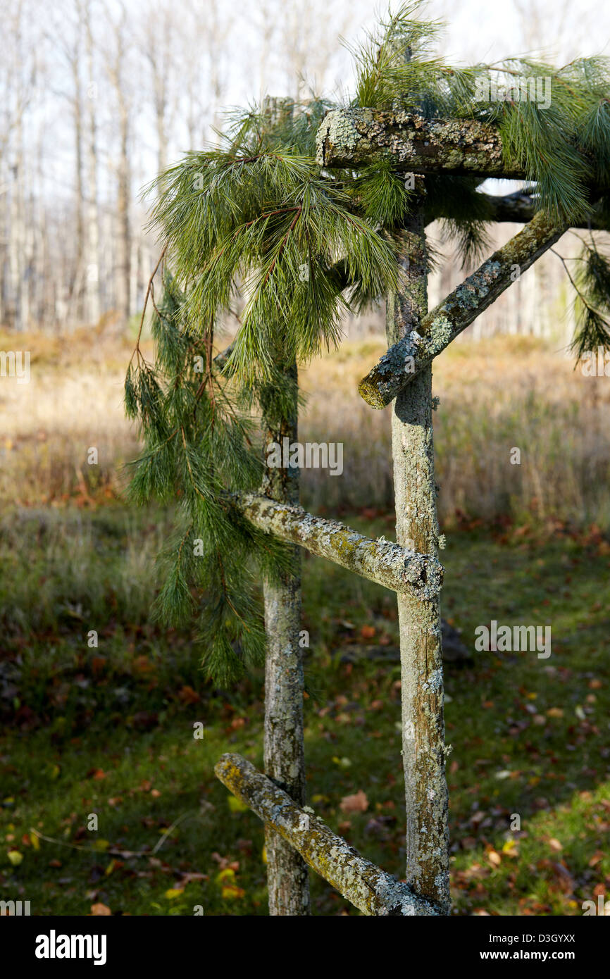 Lichen covered trellis decorated for Winter holidays Stock Photo - Alamy