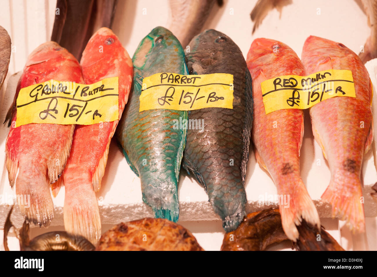 Red mullet fishmonger hi-res stock photography and images - Alamy