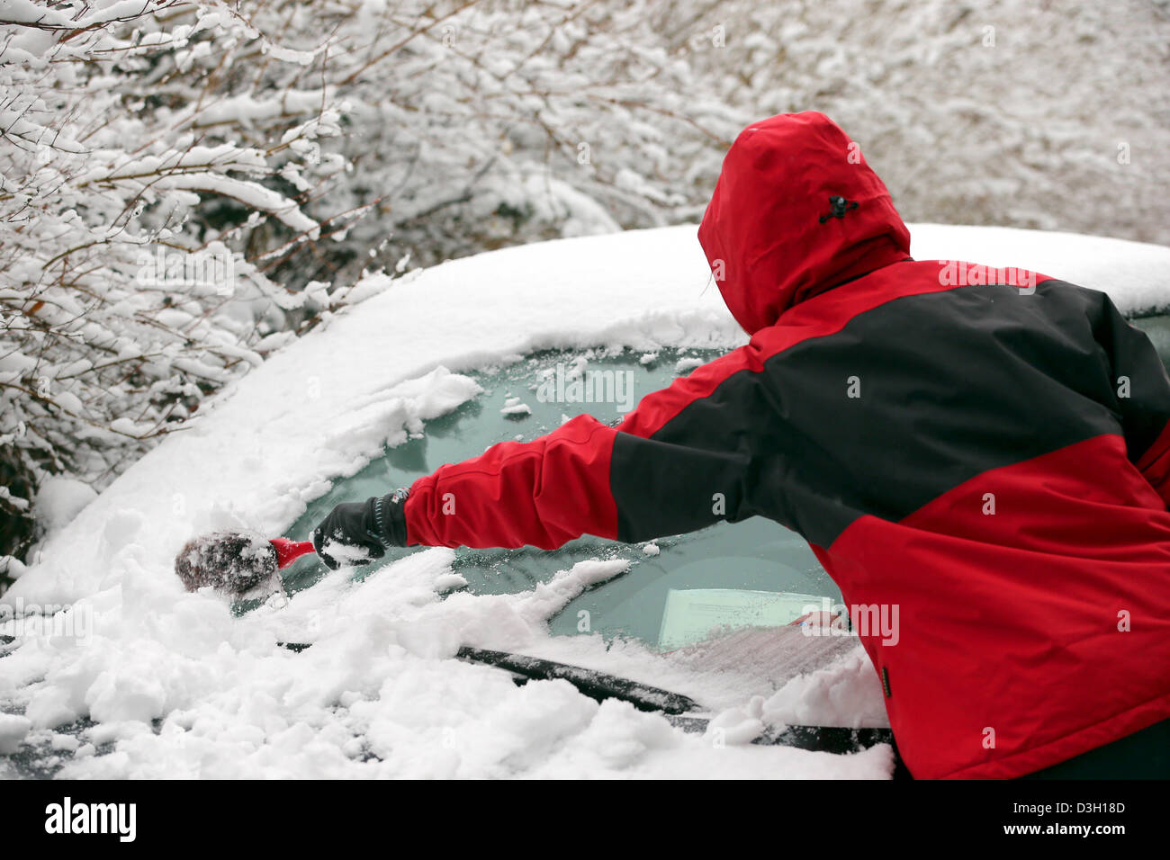 A woman clears snow from her vehichle in Berlin-Koepenick, Germany, 19 February 2013. Up to 10 ...