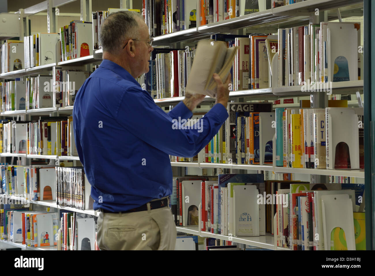 Patron looking at public library book Stock Photo - Alamy