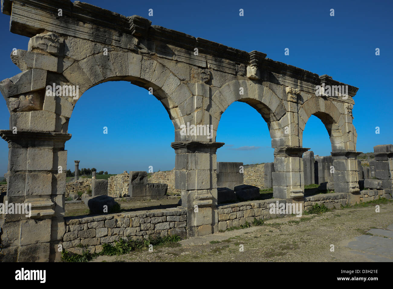 Volubilis hi-res stock photography and images - Alamy