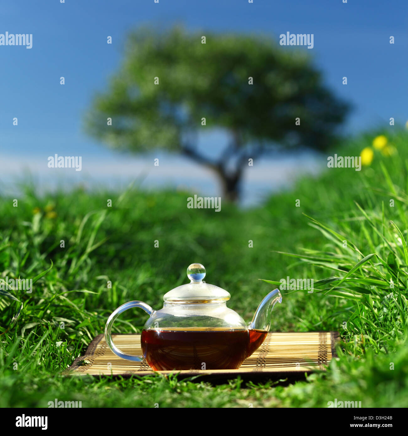 Natural tea in the pot Stock Photo - Alamy