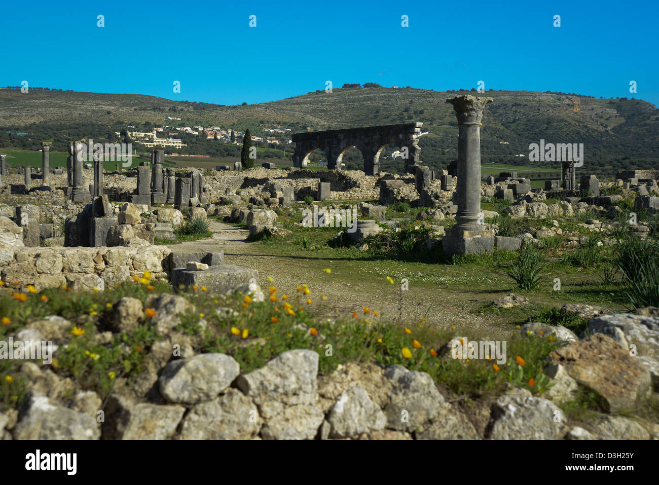 Volubilis hi-res stock photography and images - Alamy