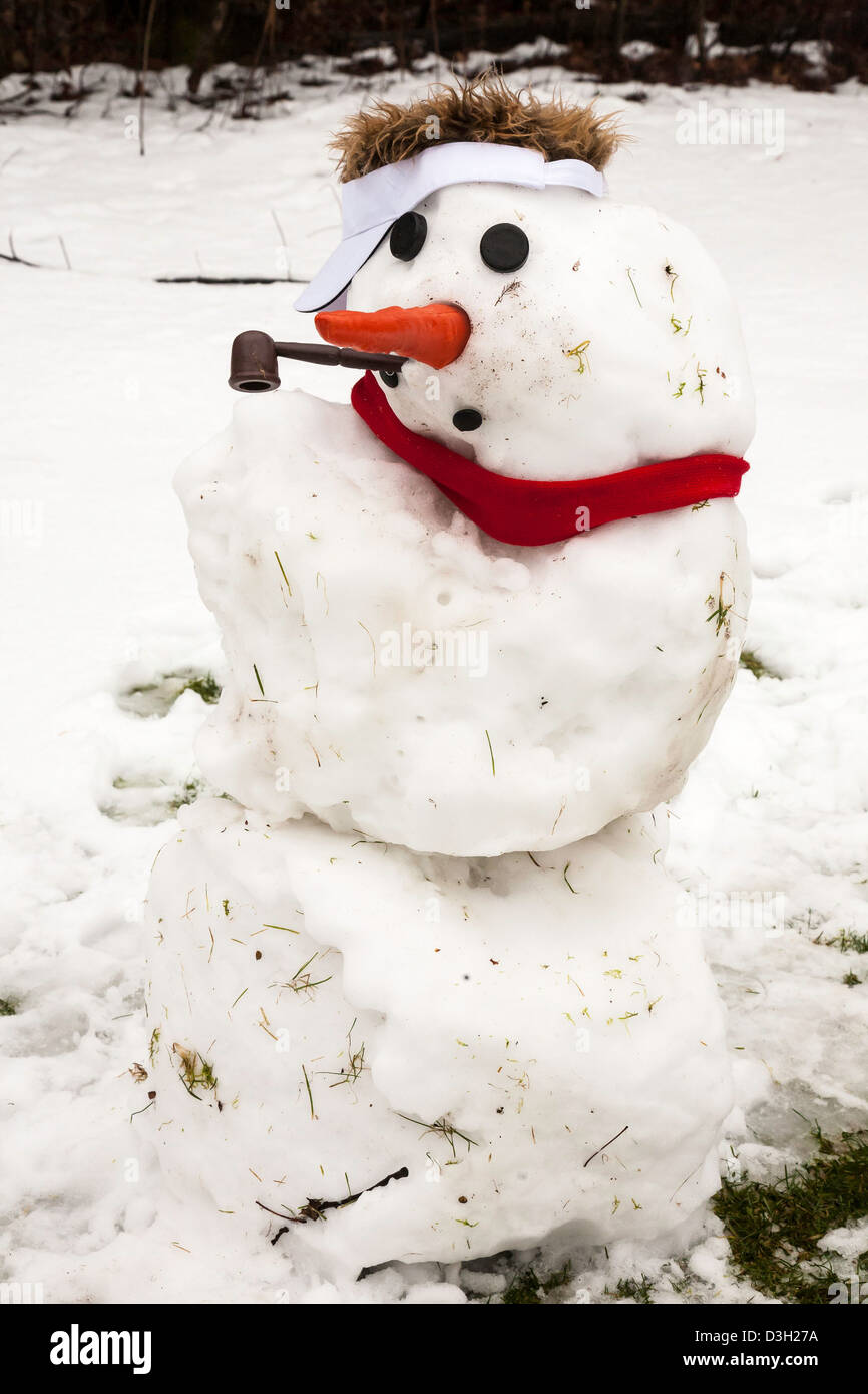 Snowman carrot nose hi-res stock photography and images - Alamy