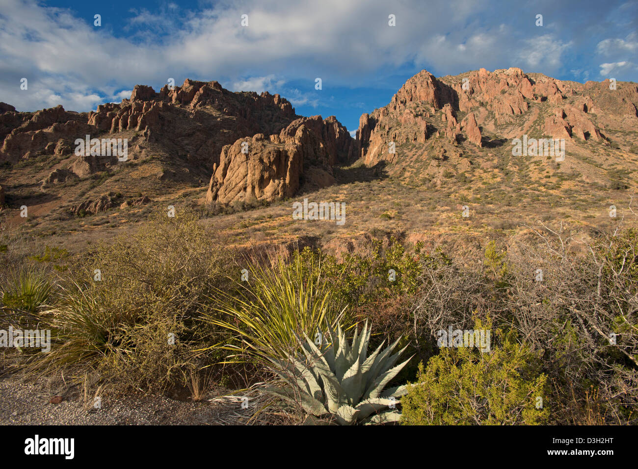 Chisos Basin, Big Bend National Park, Texas, USA, Sunset, Volcano ...