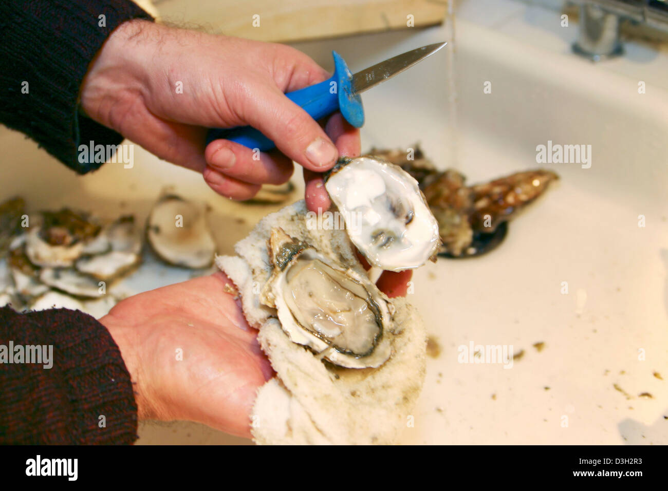 Unsafe shellfish hi-res stock photography and images - Alamy