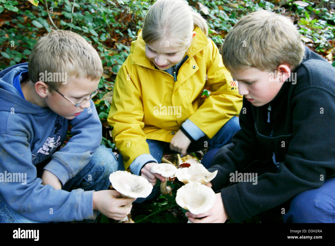 Fungal attachment hi-res stock photography and images - Alamy