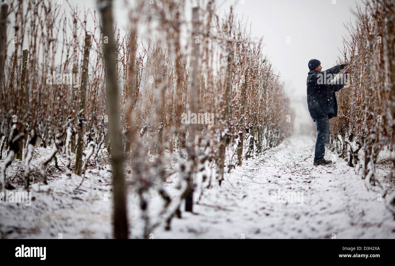 Polish workers hi-res stock photography and images - Alamy