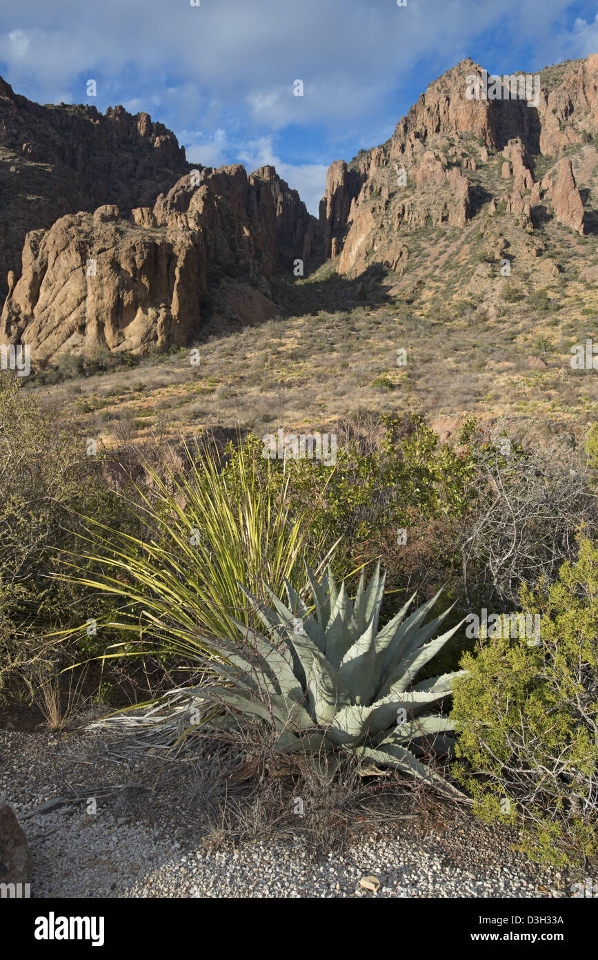 Chisos Basin, Big Bend National Park, Texas, USA, Sunset, Volcano ...