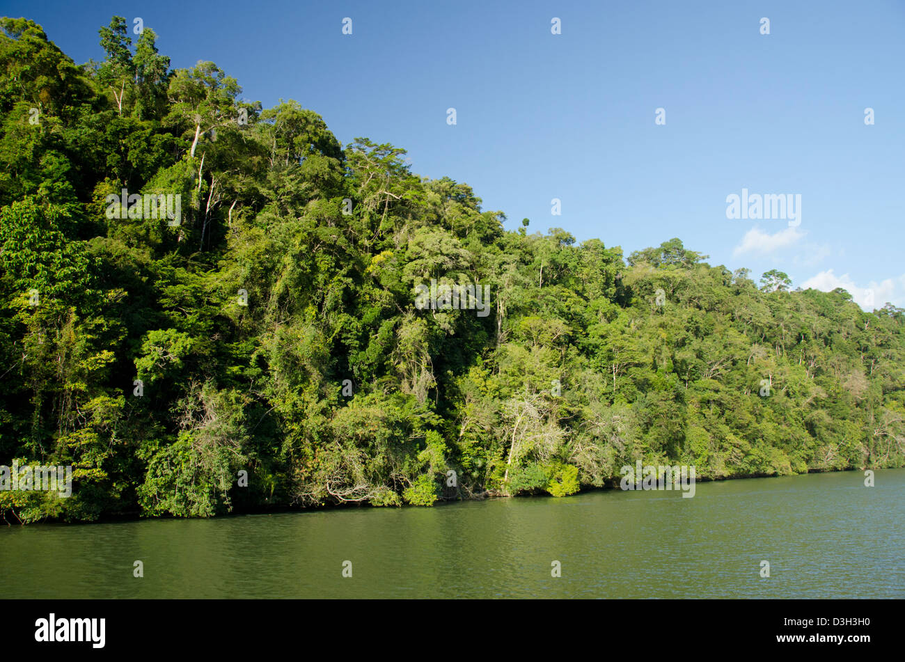 Guatemala, Rio Dulce National Park. Rio Dulce (Sweet River) runs from ...