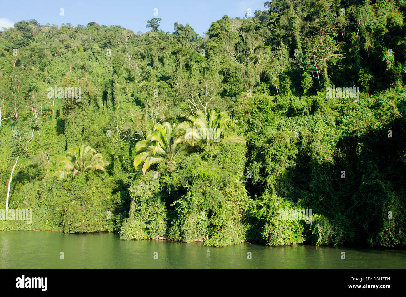 Guatemala, Rio Dulce National Park. Rio Dulce (Sweet River) runs from ...