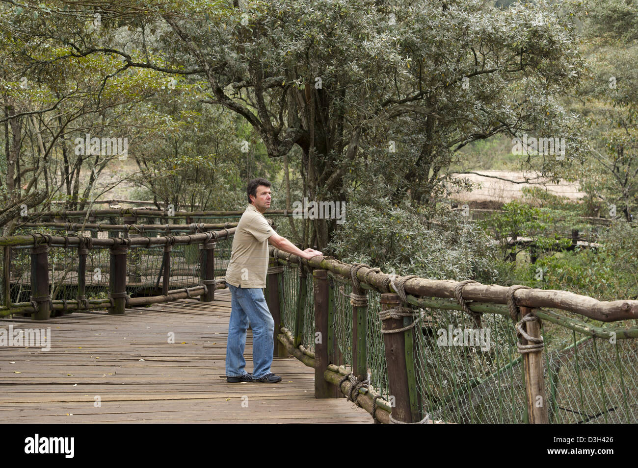 Boardwalk, Nairobi Safari Walk, Nairobi National Park, Nairobi, Kenya ...