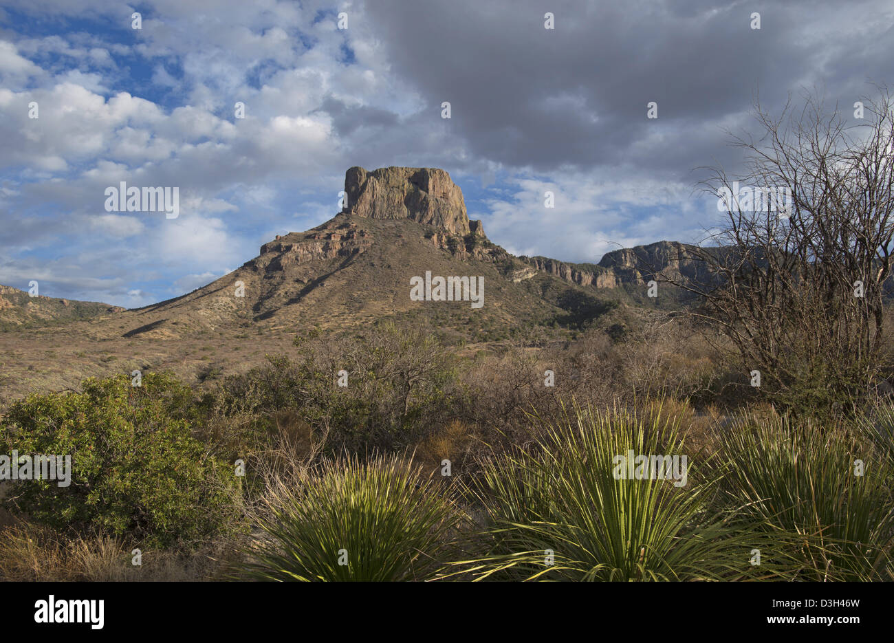 Casa Grande Peak, Chisos Basin, Big Bend National Park, Texas, USA ...