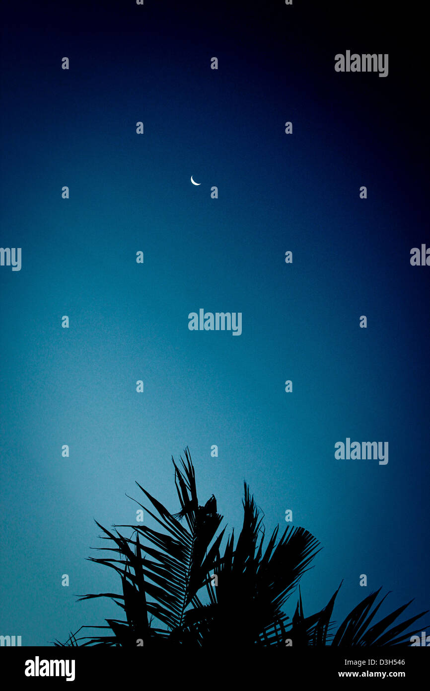 Moon alone hi-res stock photography and images - Alamy