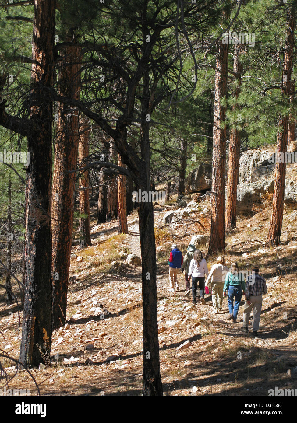 A photo of the Cliff Springs Trail in Grand Canyon National Park ...