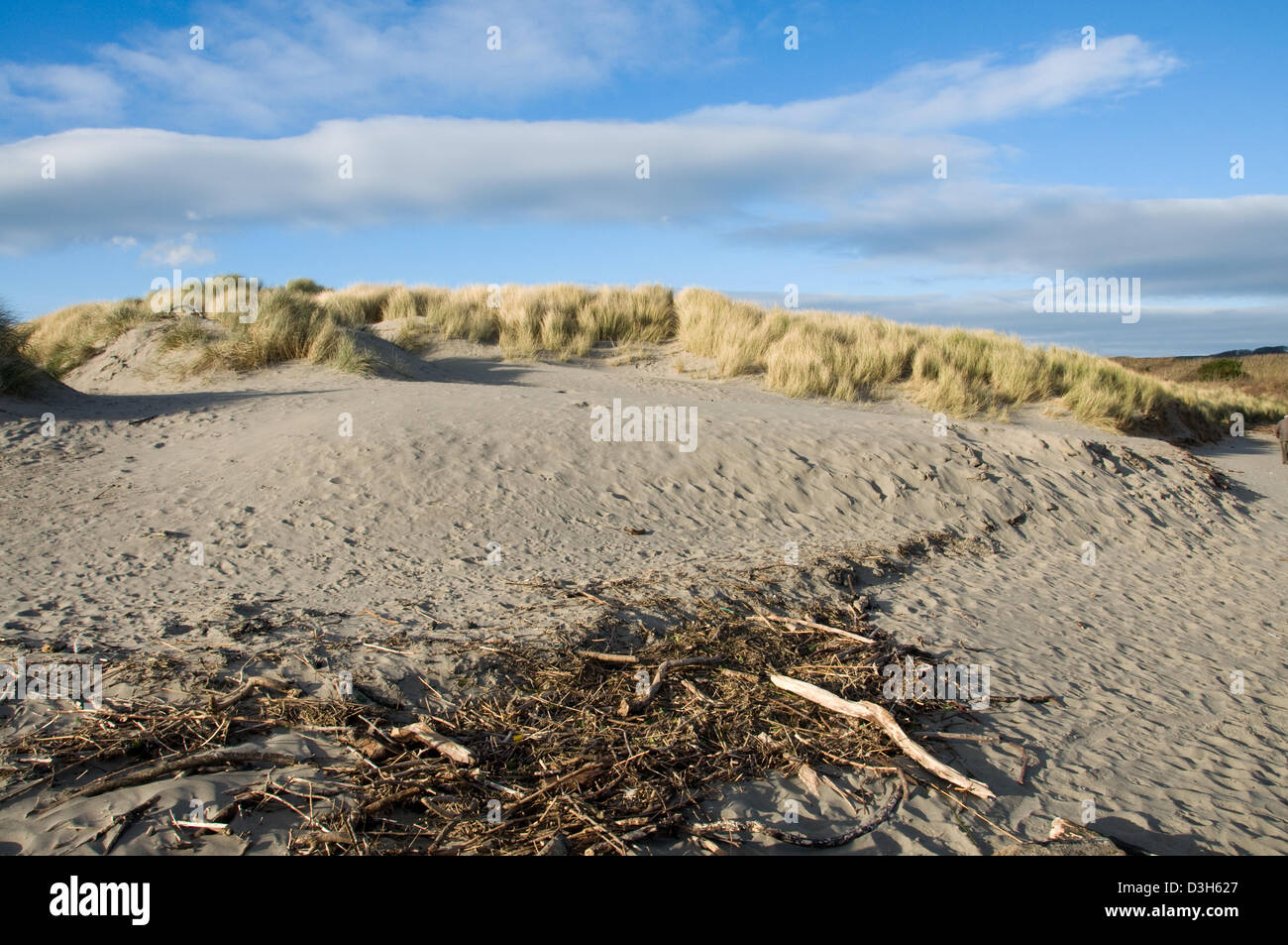 Newport Beach, Pembrokeshire, Wales Stock Photo - Alamy