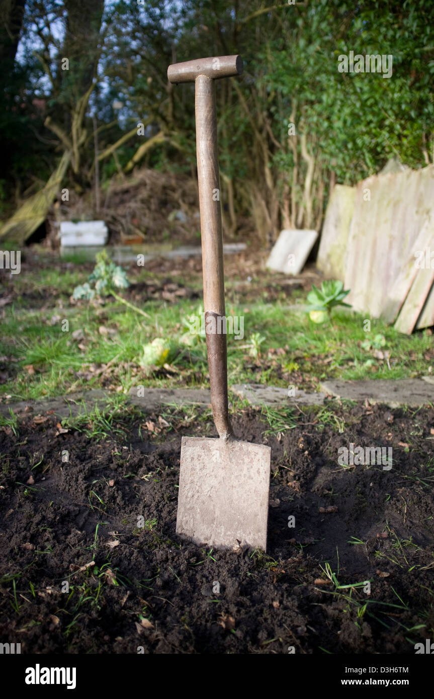 Digging and preparing the ground soil ready for planting vegetables ...