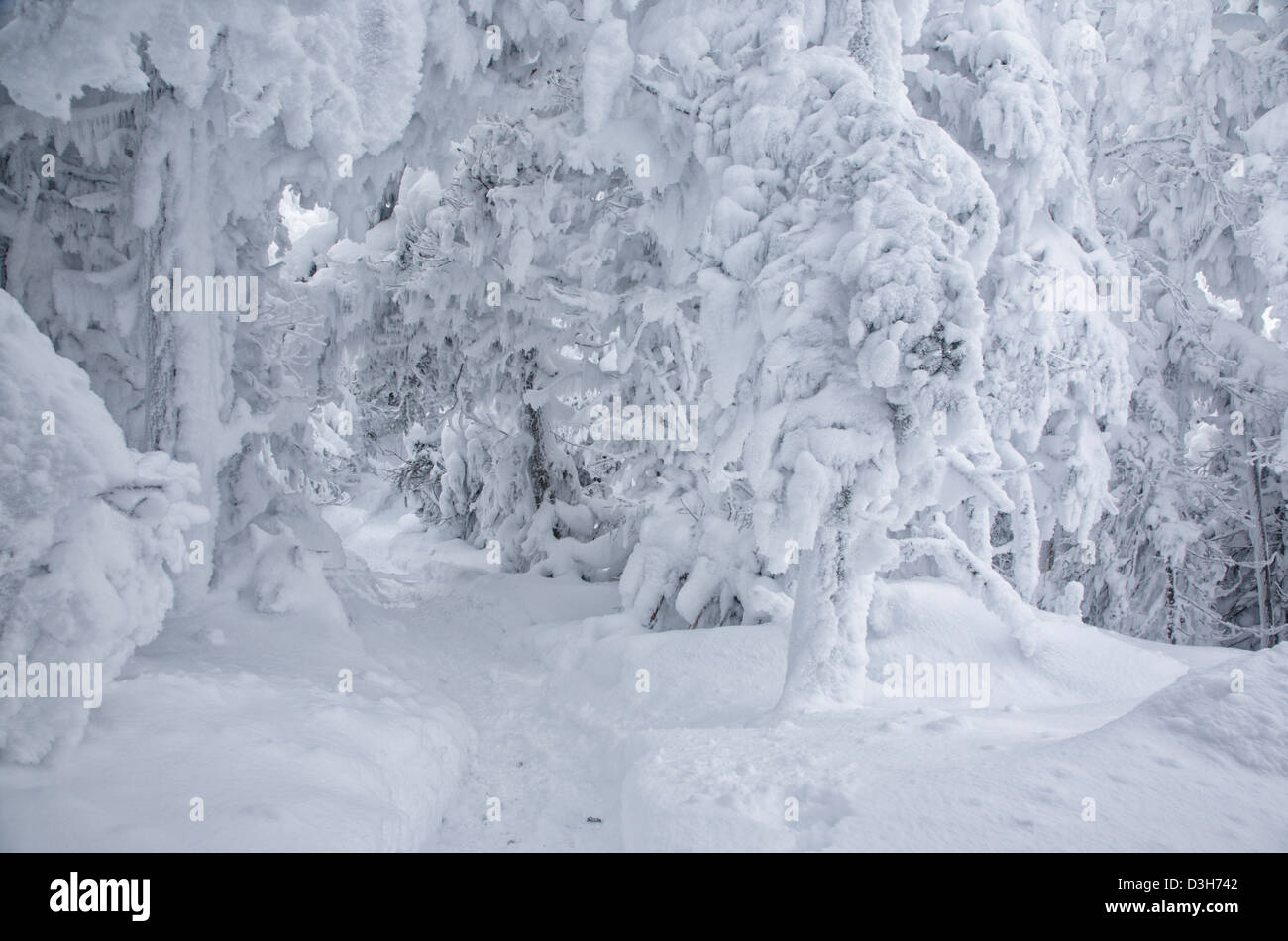 Kinsman ridge trail hi-res stock photography and images - Alamy