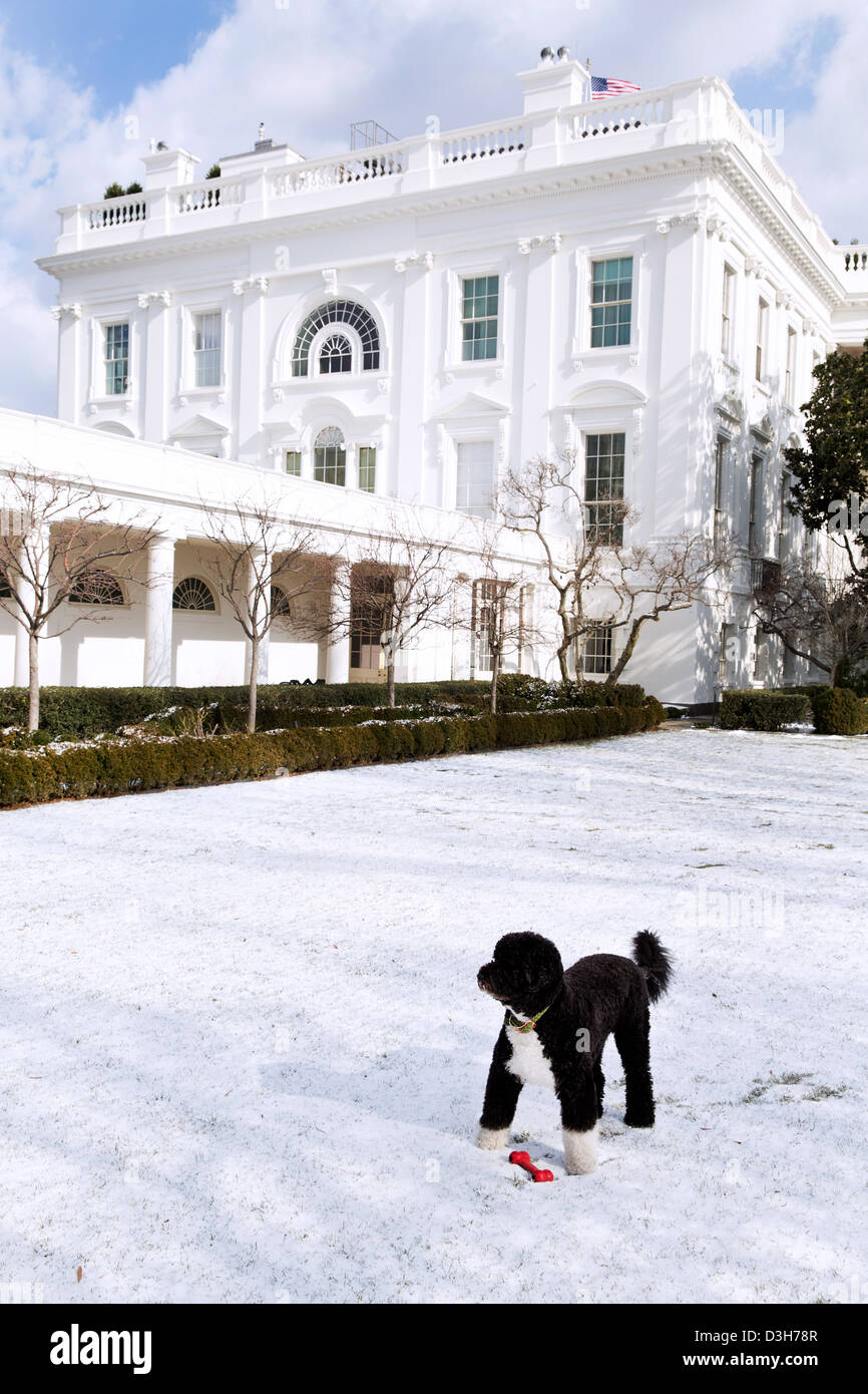 President obama family dog bo hi-res stock photography and images - Alamy