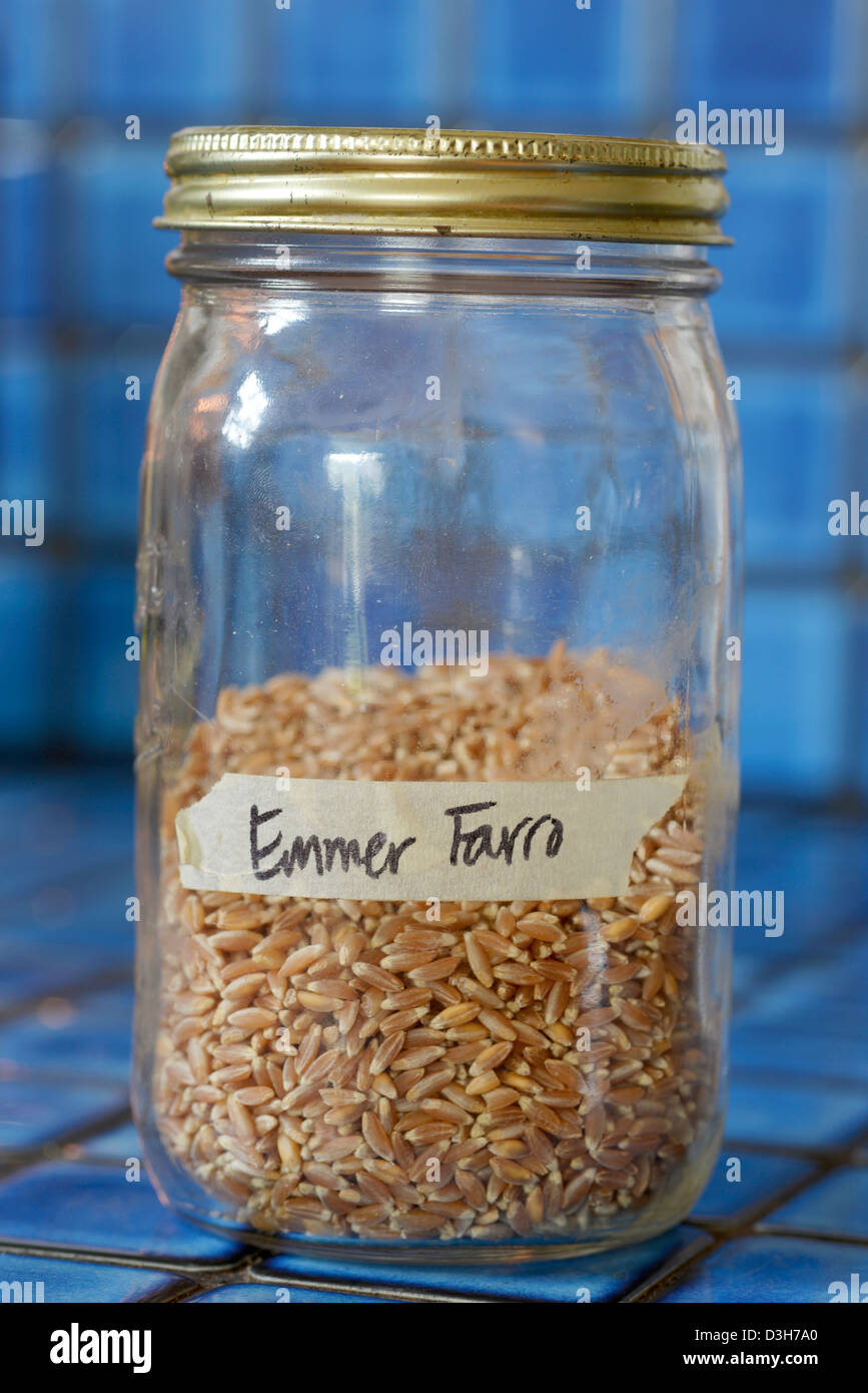 Emmer wheat hi-res stock photography and images - Alamy