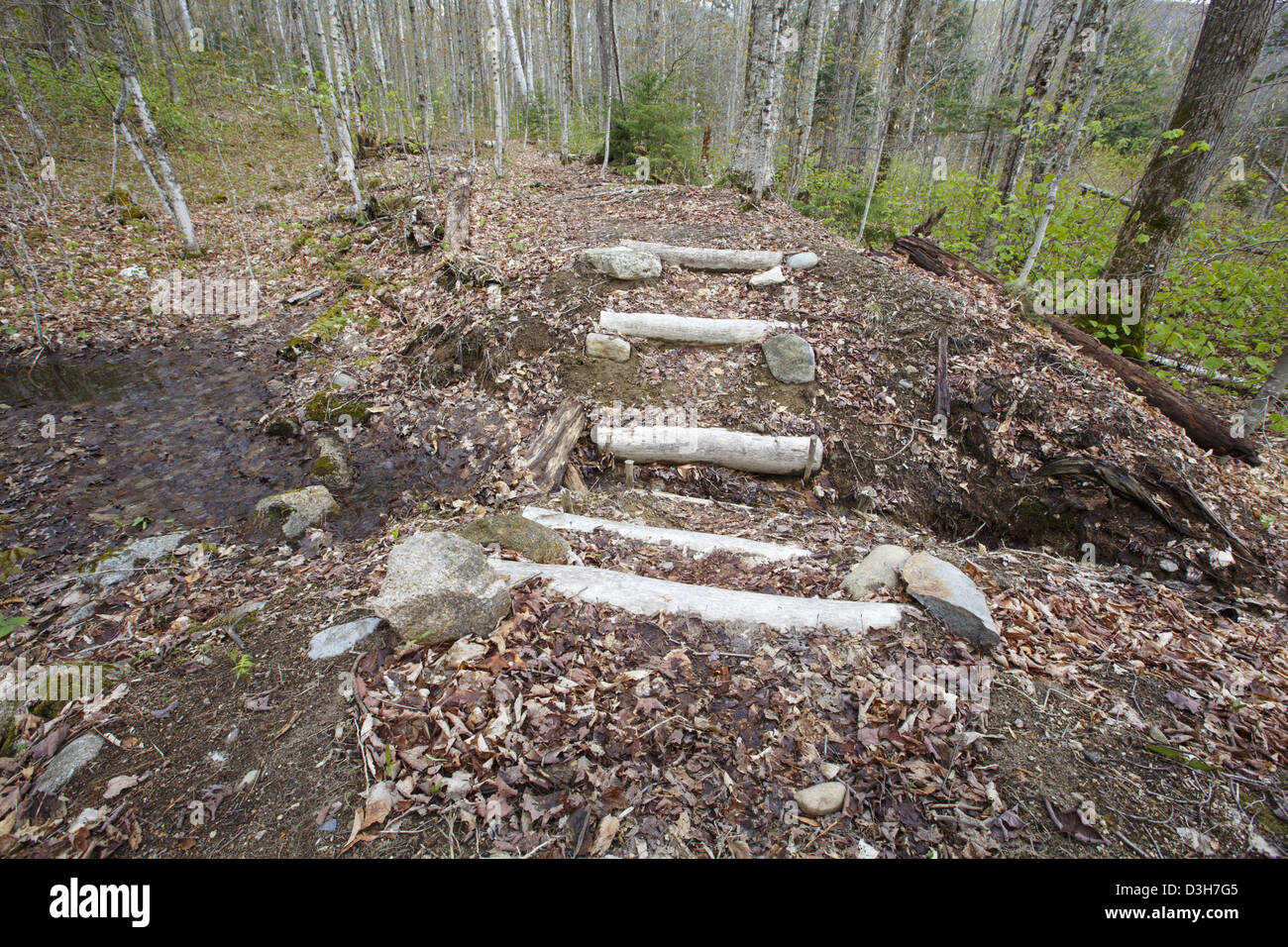 Low impact trail work along Little East Pond Trail in Livermore, New ...