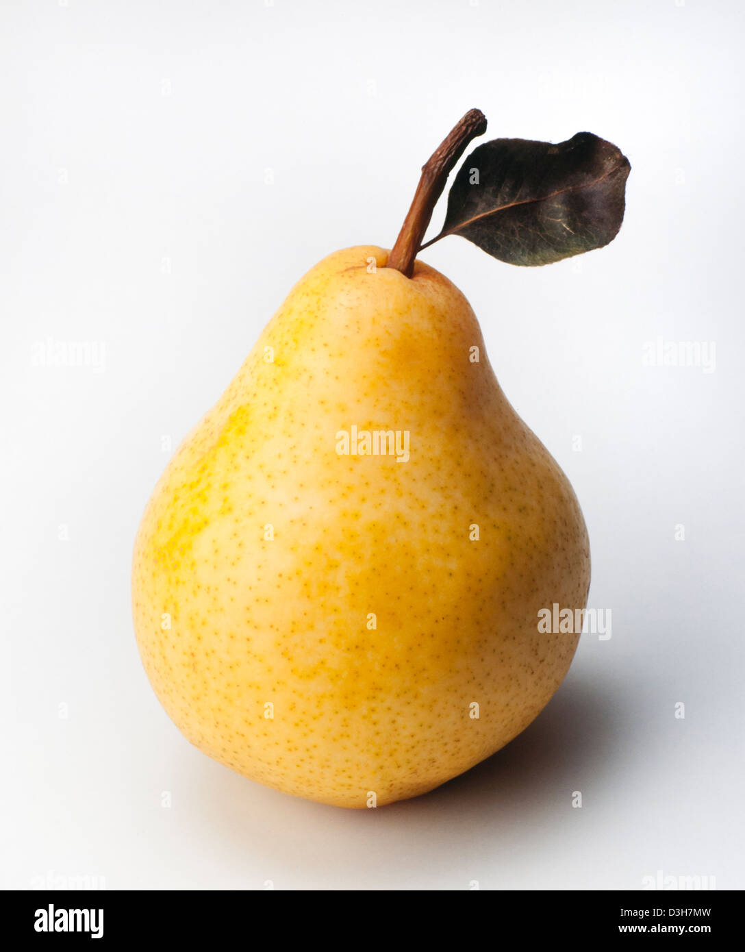fresh ripe yellow pear with leaf on white background Stock Photo - Alamy