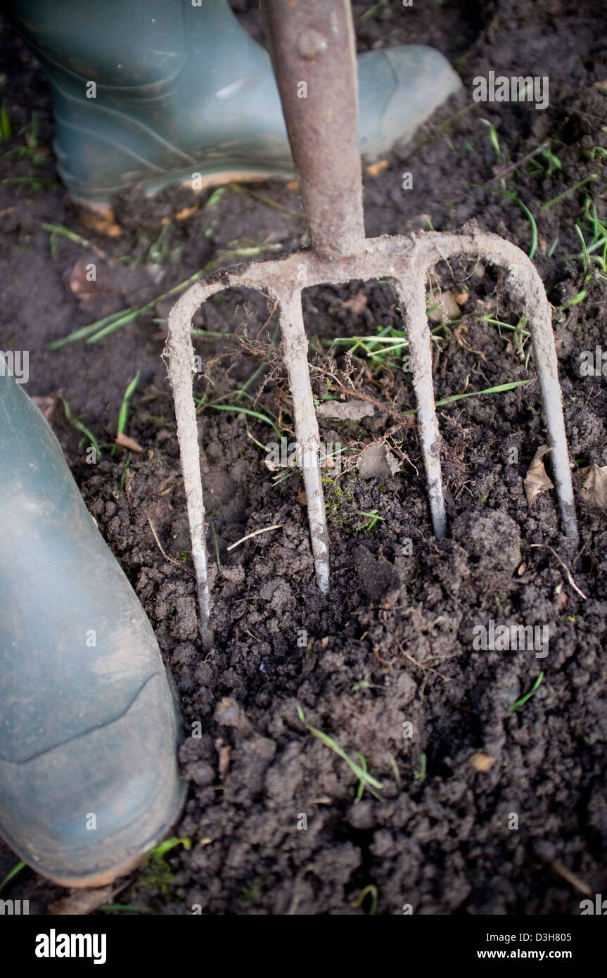 Digging and preparing the ground soil ready for planting vegetables ...