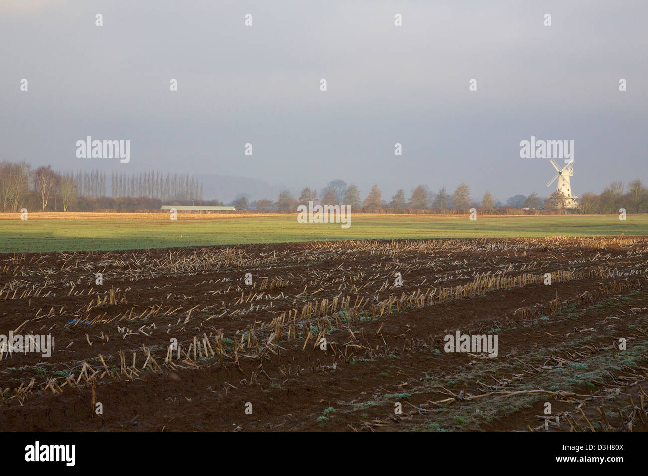 Restored windmill at Llancayo, near Usk, Monmouthshire Stock Photo - Alamy