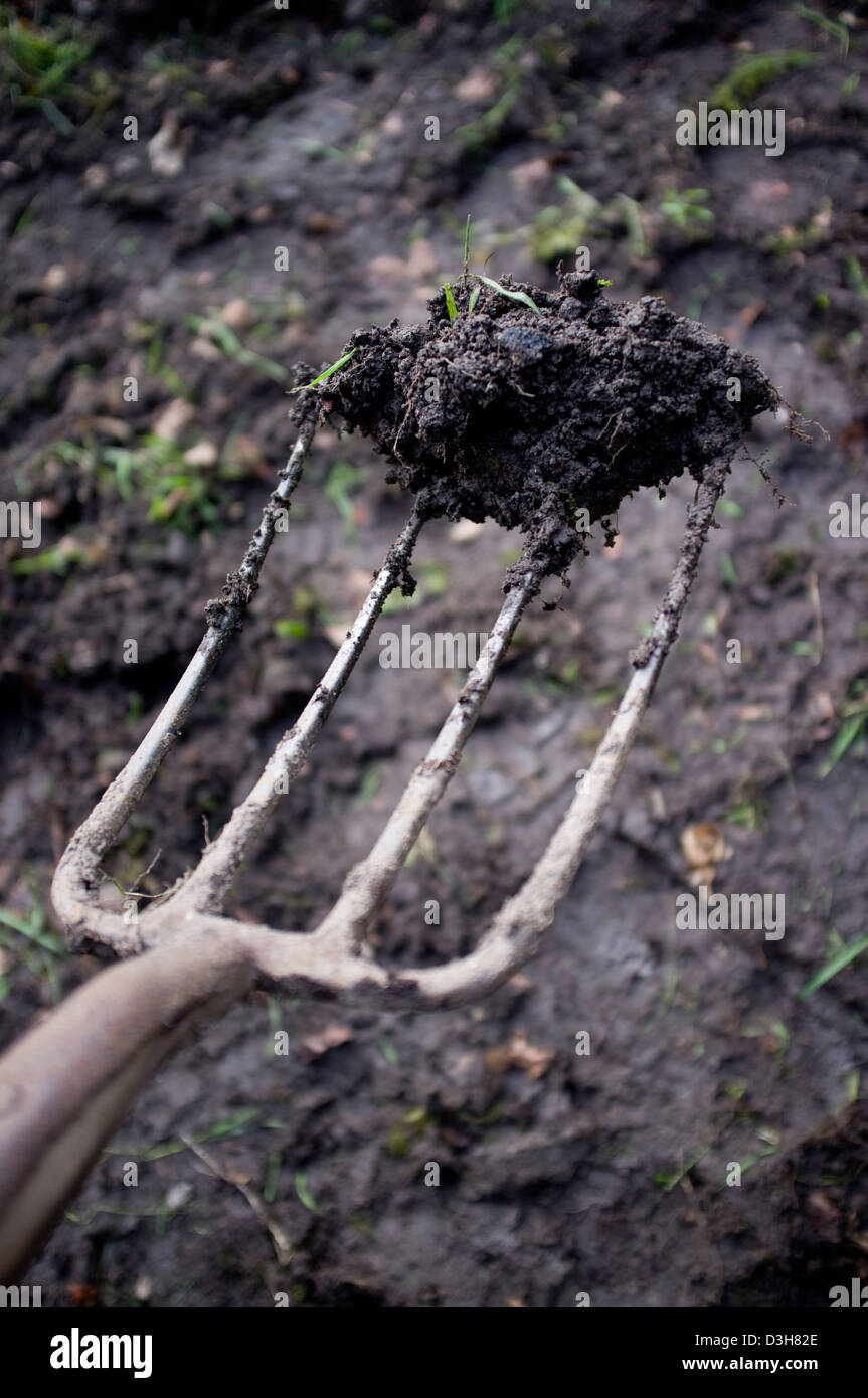 Digging and preparing the ground soil ready for planting vegetables ...