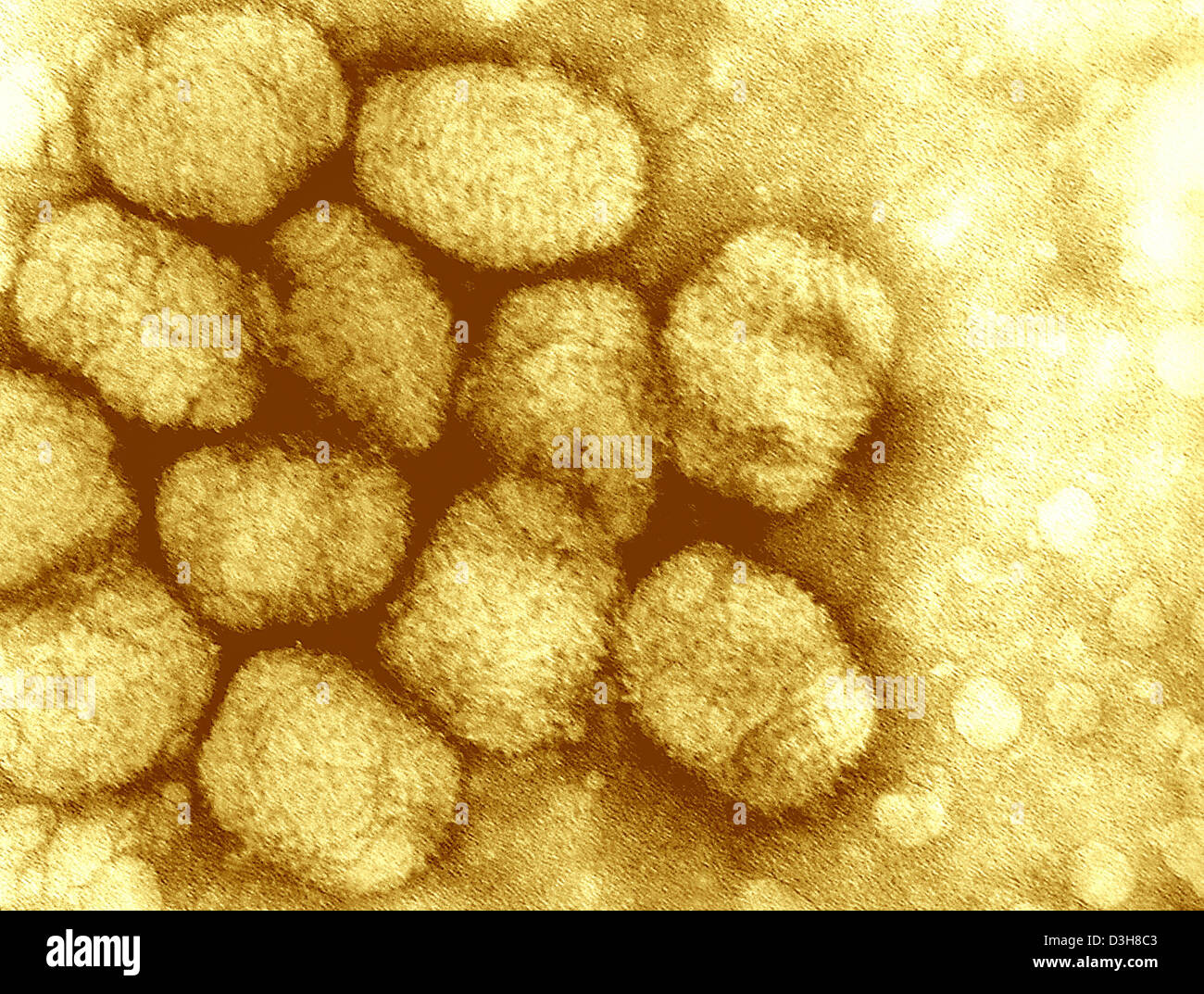 Smallpox virus microscope hi-res stock photography and images - Alamy