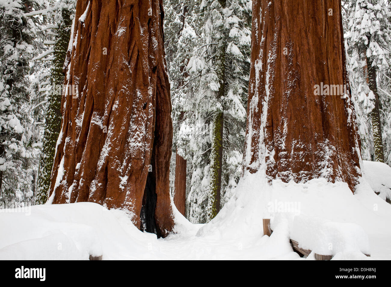 Snow giant hi-res stock photography and images - Alamy