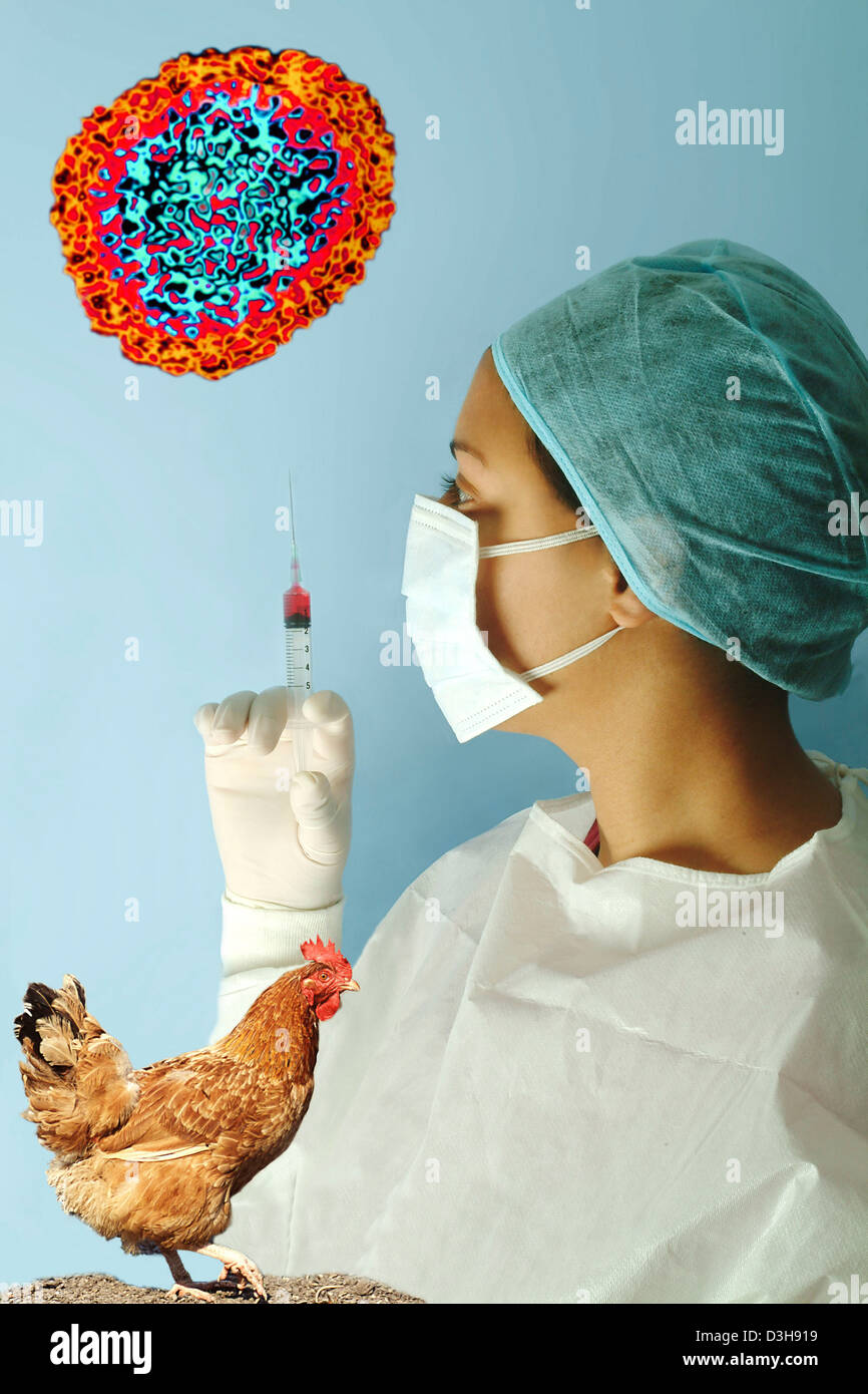 AVIAN INFLUENZA VACCINE Stock Photo - Alamy