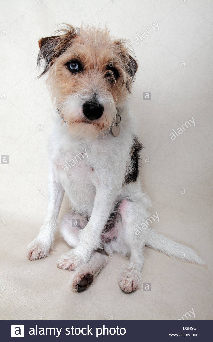 Awkwardly Stock Photos & Awkwardly Stock Images - Alamy