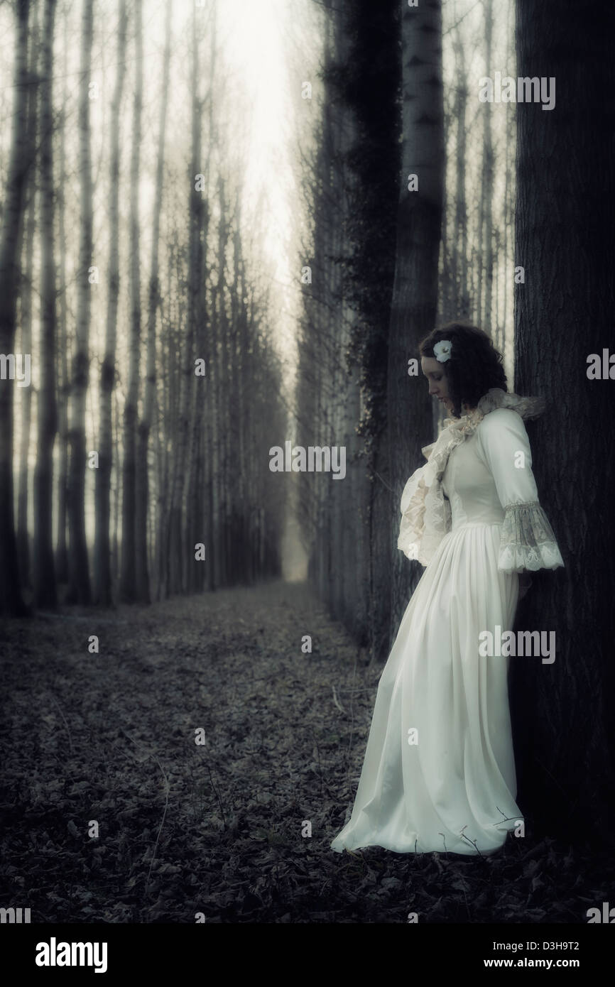 Victorian Forest High Resolution Stock Photography and Images - Alamy