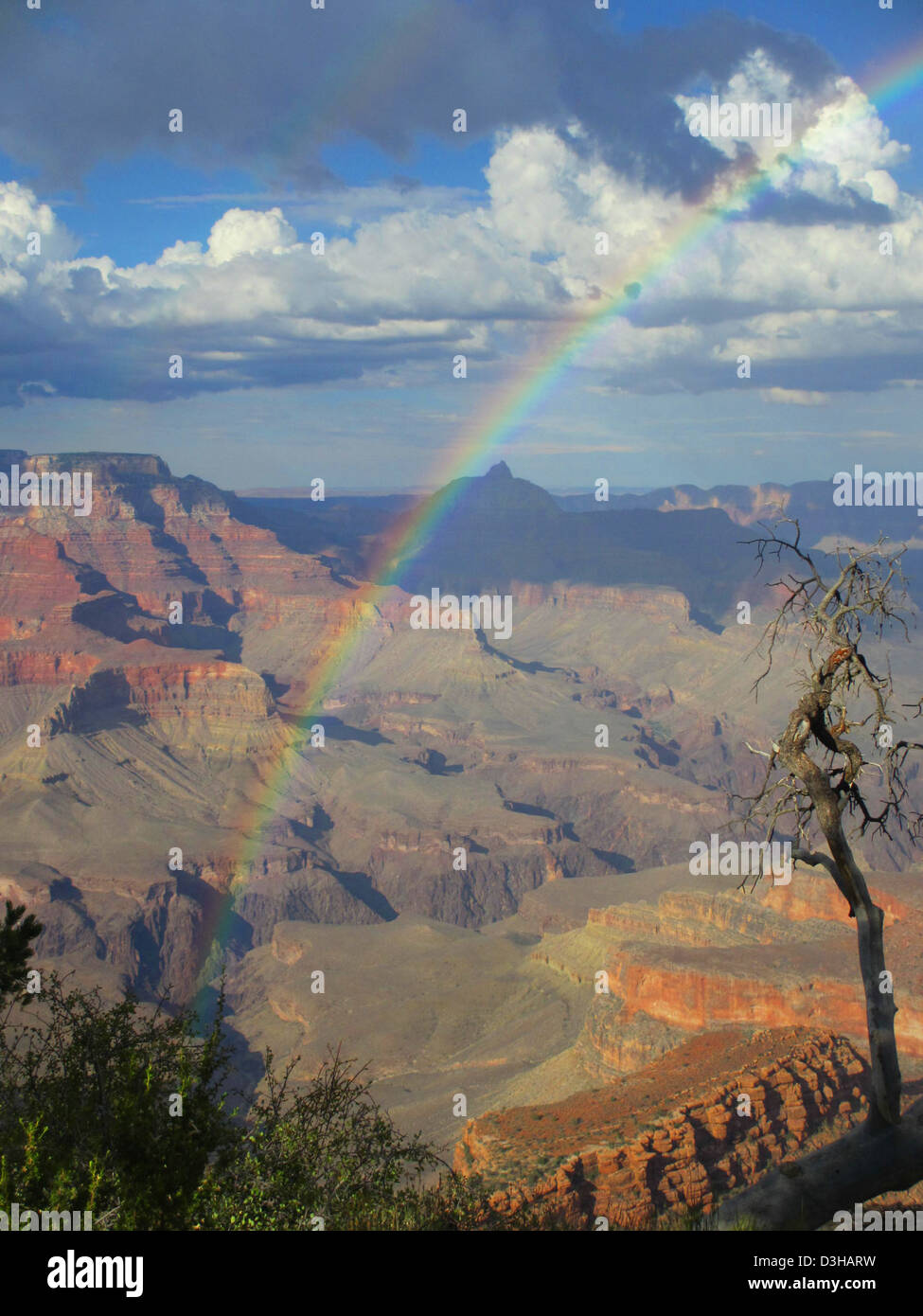 A rainbow appears over Shoshone Point in Grand Canyon National Park, offering a vibrant view of ...